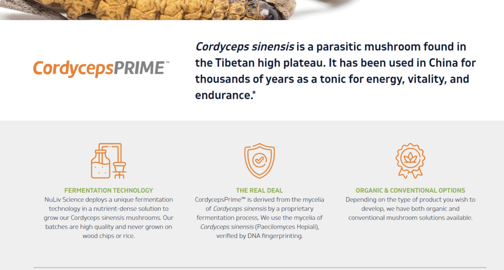 Transparent Labs Shroom Stack Review - FitFrek