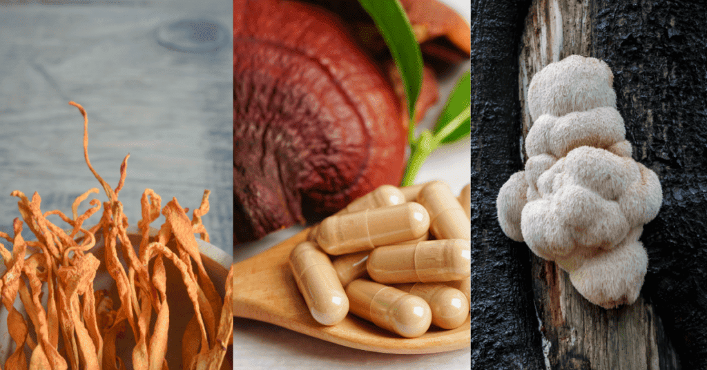 Cordyceps, Reishi and Lion's Mane: 3 Powerful Mushrooms To Stack? - FitFrek